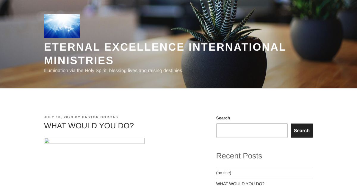 WHAT WOULD YOU DO? – ETERNAL EXCELLENCE INTERNATIONAL MINISTRIES